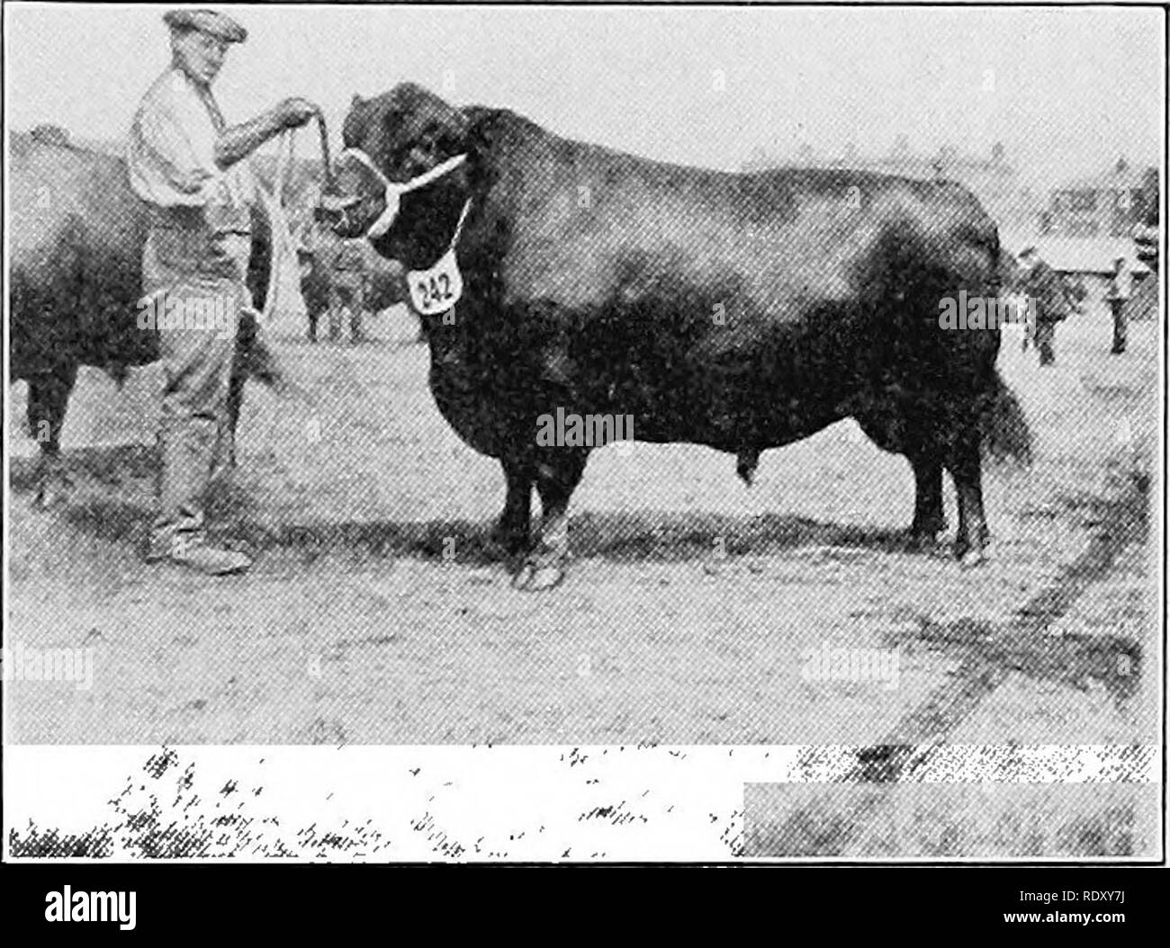 Mr angus macpherson Black and White Stock Photos & Images - Alamy
