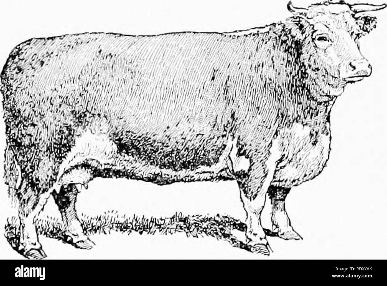 Skin indentations hi-res stock photography and images - Alamy