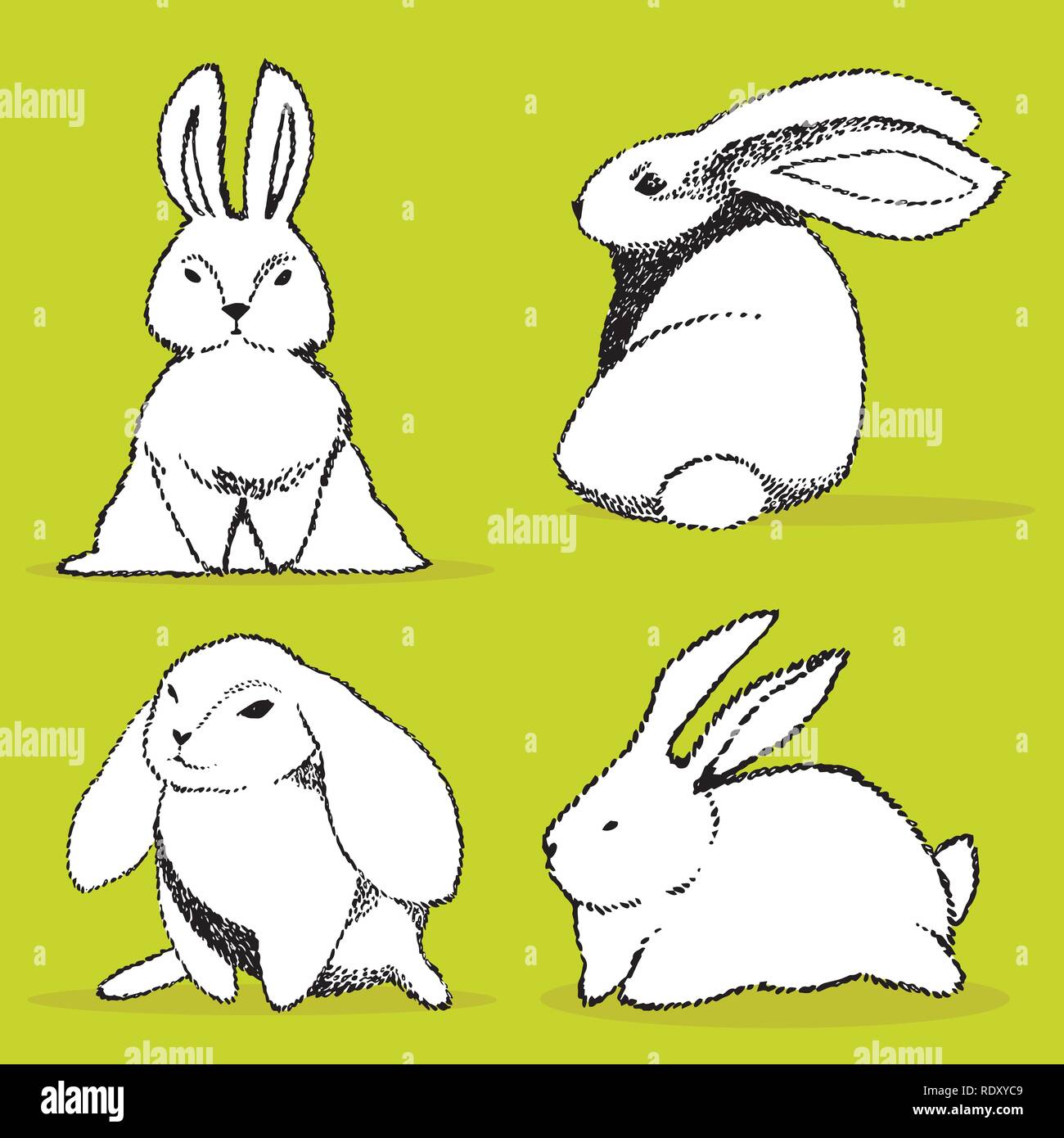 Collection of some cute rabbits, hand draw illustration. Draw vector ...