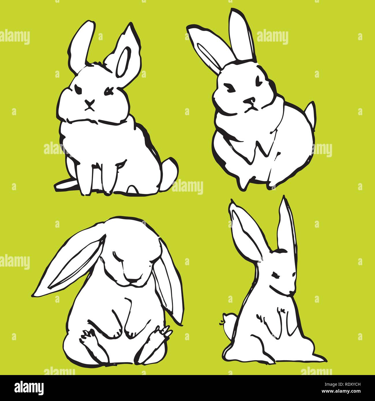 Collection of some cute rabbits, hand draw illustration. Draw vector ...