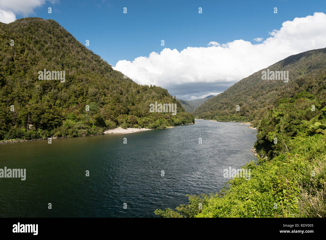 Scenic Buller River and Gorge in the South island of New Zealand Stock ...