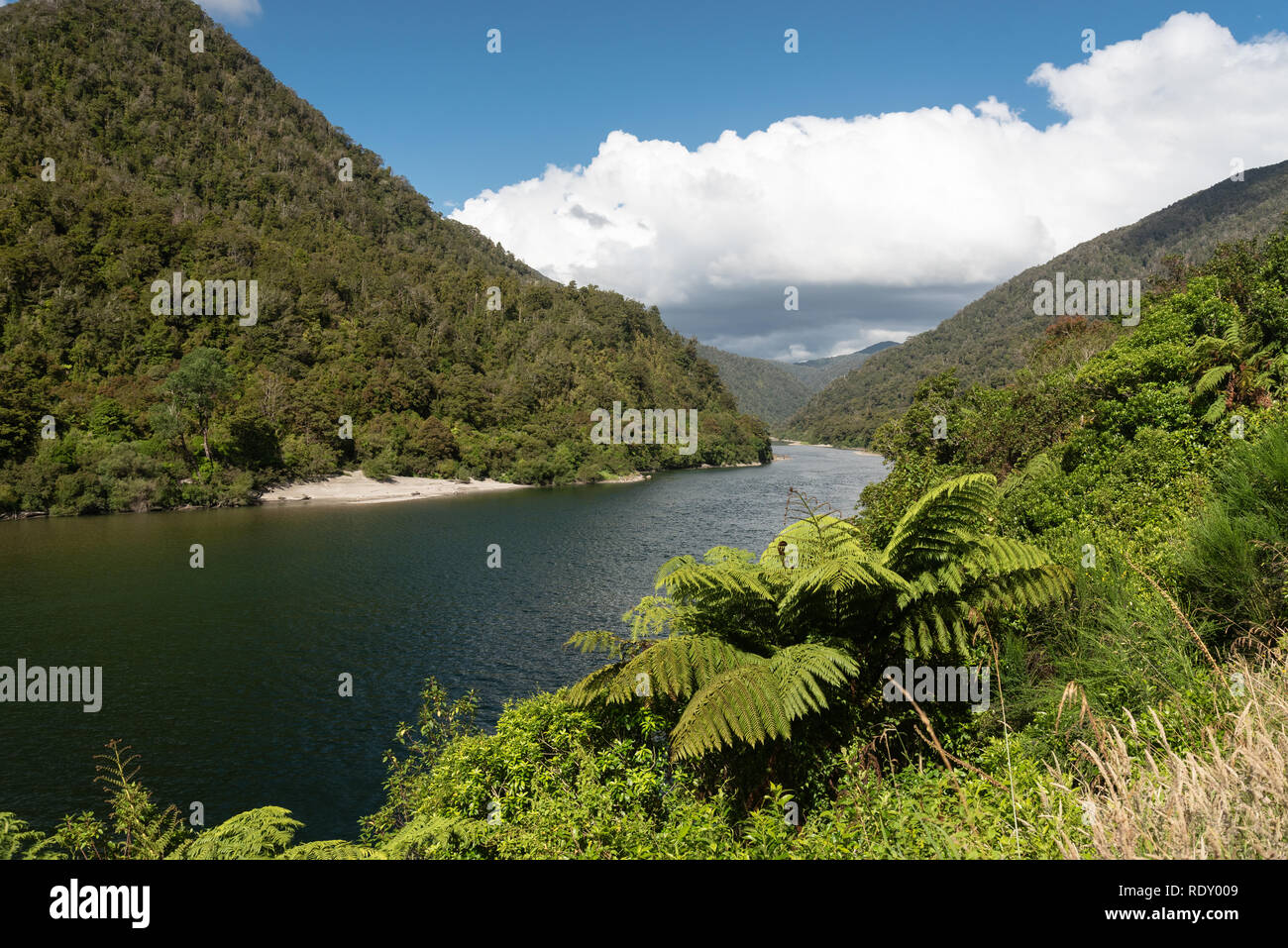 Scenic Buller River and Gorge in the South island of New Zealand Stock ...