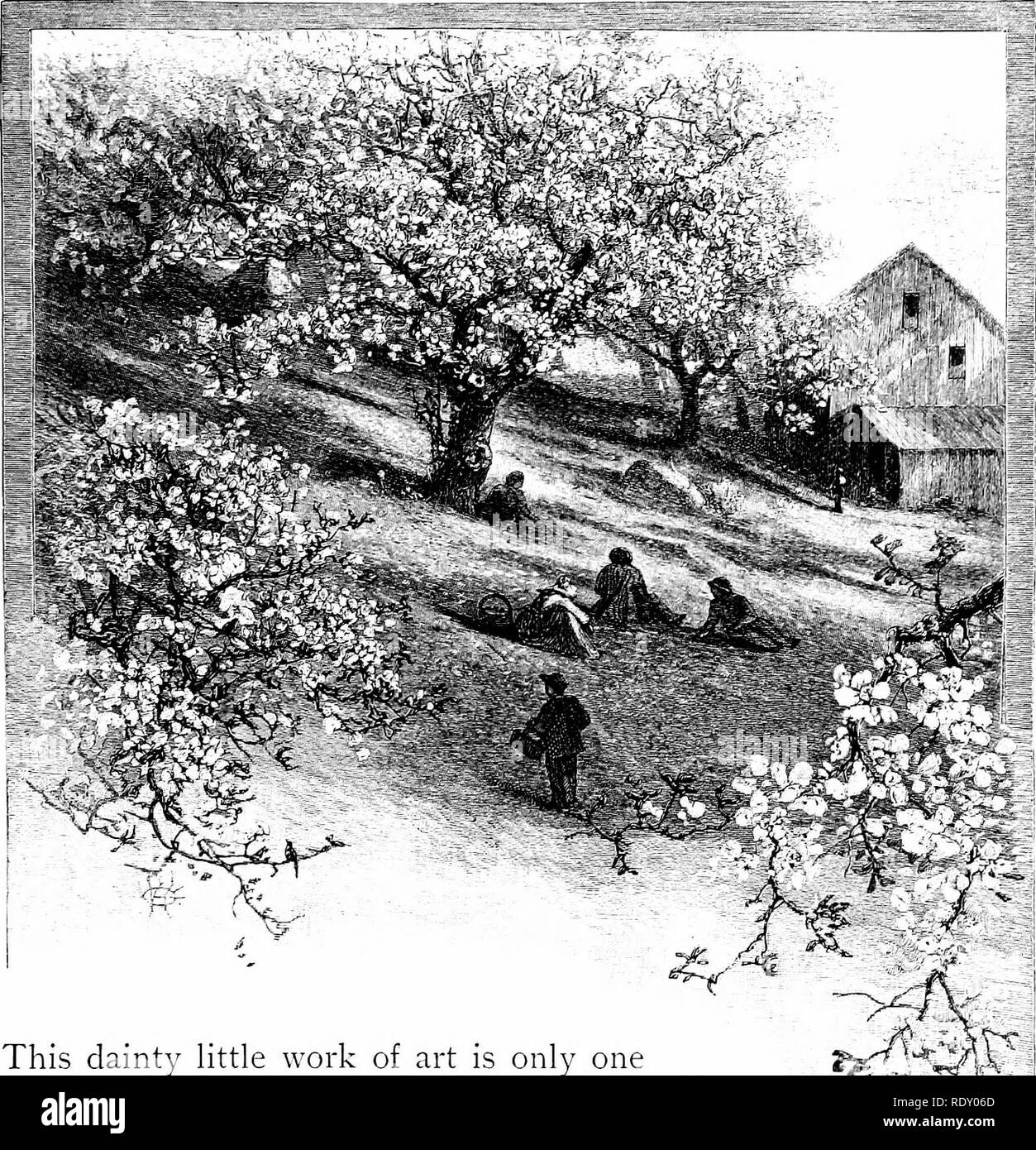 . Pastoral days; or, Memories of a New England year. Natural history ...