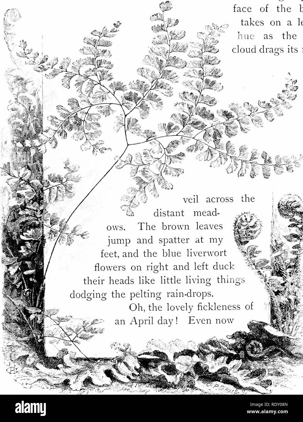 Living landscapes england Black and White Stock Photos & Images - Alamy