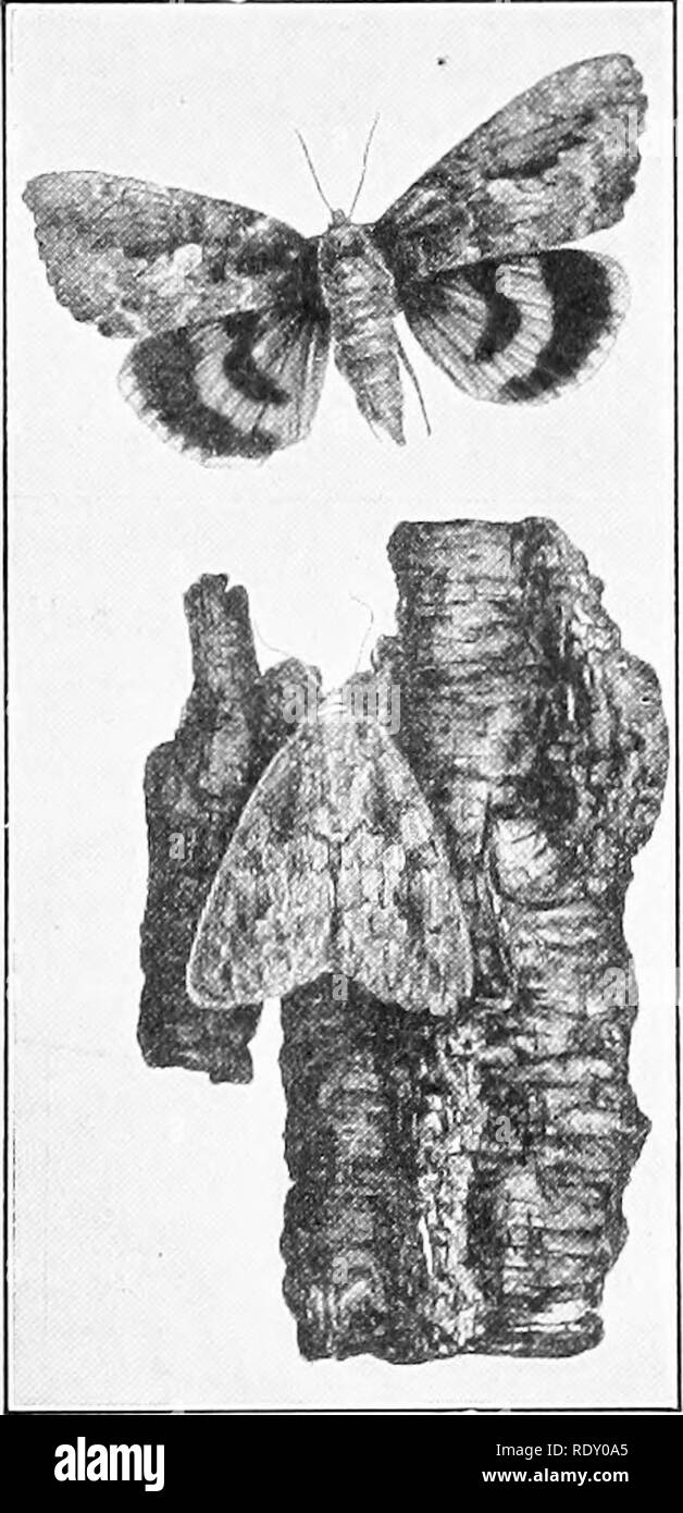 . Essentials of biology presented in problems. Biology. 250 ...