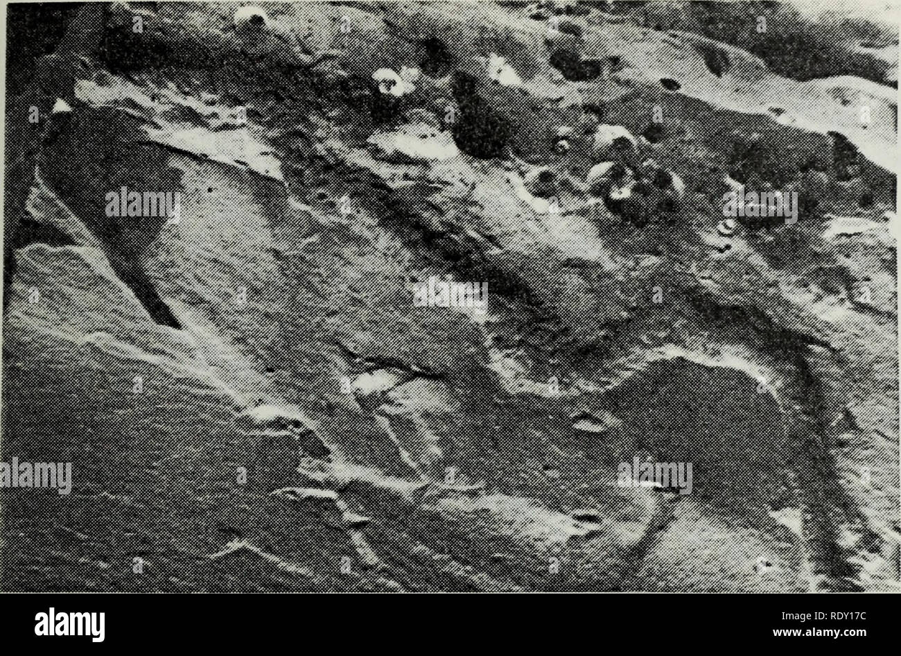 Monterey shale hi-res stock photography and images - Alamy