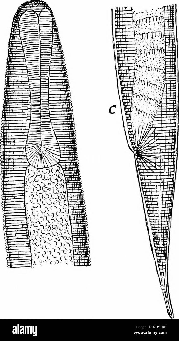 Chemic Black and White Stock Photos & Images - Alamy
