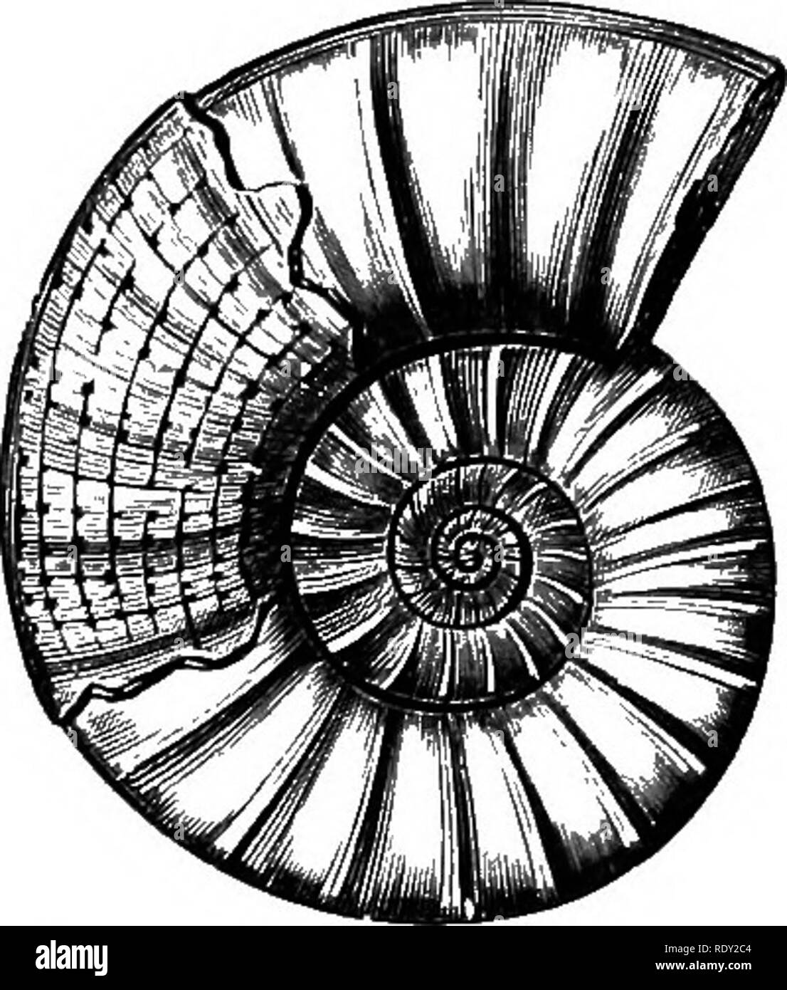 Chalk oolite hi-res stock photography and images - Alamy