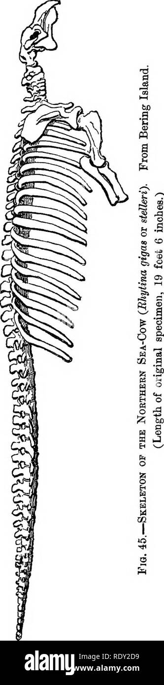 . A general guide to the British Museum (Natural History) ... With ...