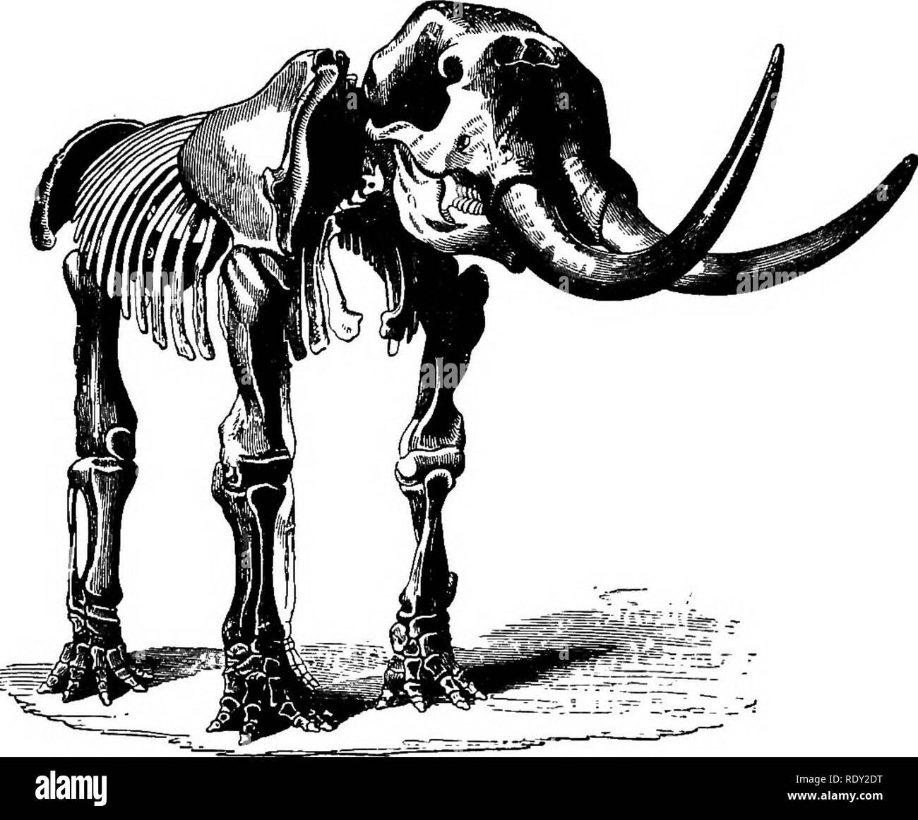 . A general guide to the British Museum (Natural History) ... With ...