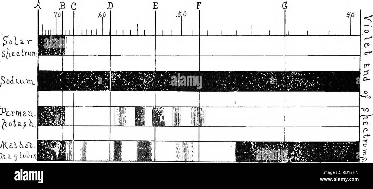 Photo Micrography High Resolution Stock Photography and Images - Alamy