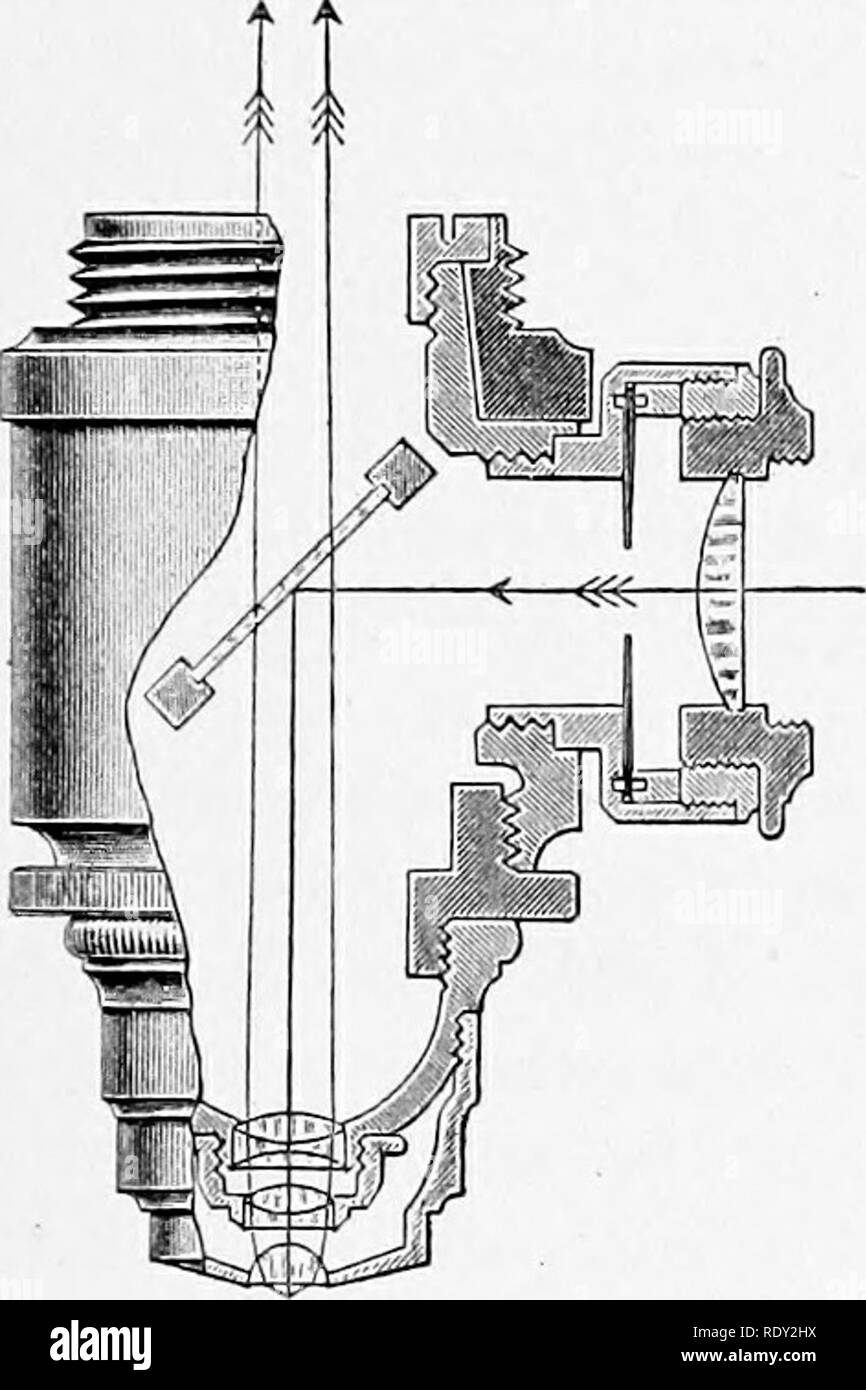 Villi micrograph hi-res stock photography and images - Alamy