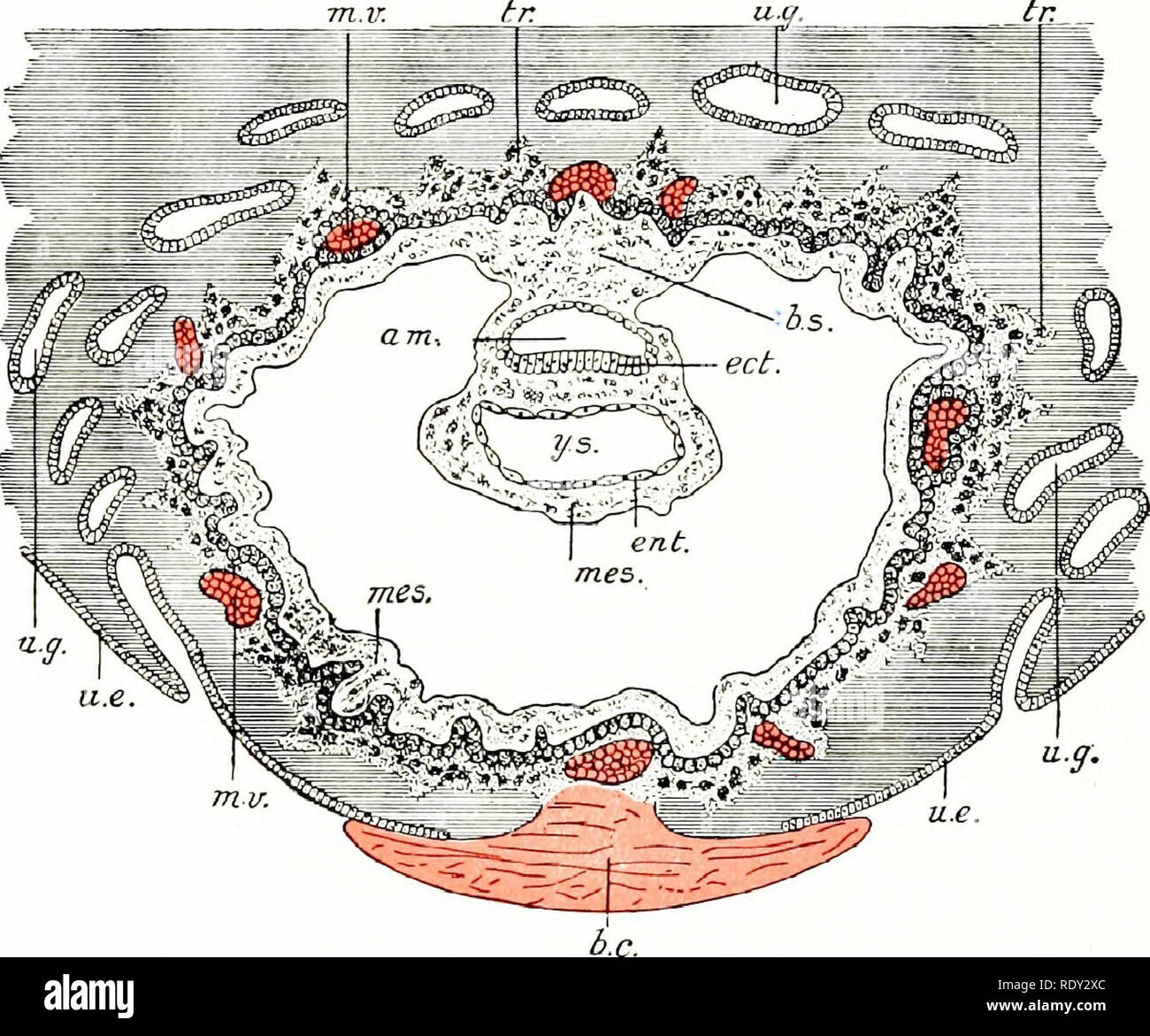 Bryce laboratory hi-res stock photography and images - Alamy