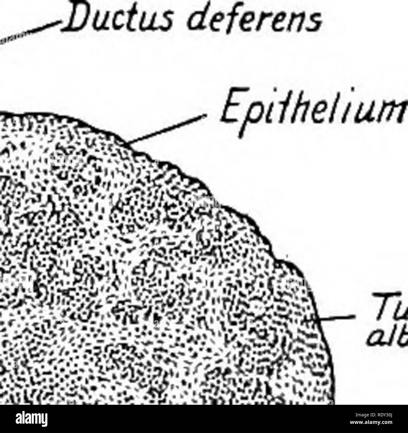 . A laboratory manual and text-book of embryology. Embryology. THE ...