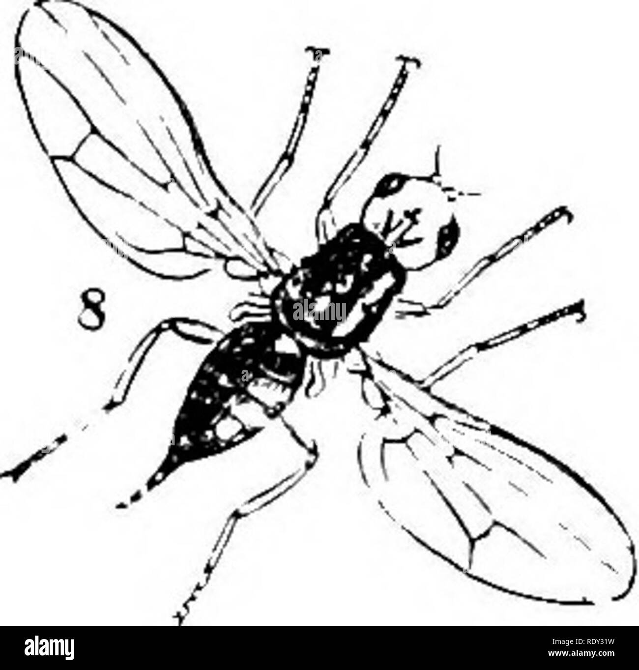 Pa systems Cut Out Stock Images & Pictures - Alamy