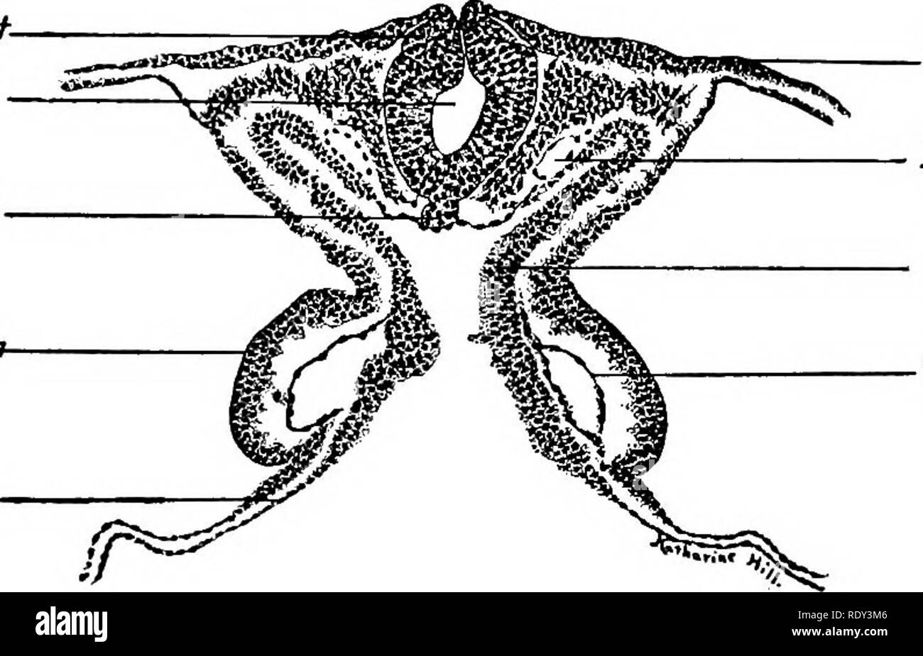 . A laboratory manual and text-book of embryology. Embryology ...