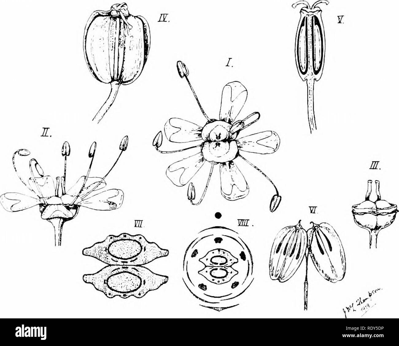 Fluted terminal Black and White Stock Photos & Images - Alamy
