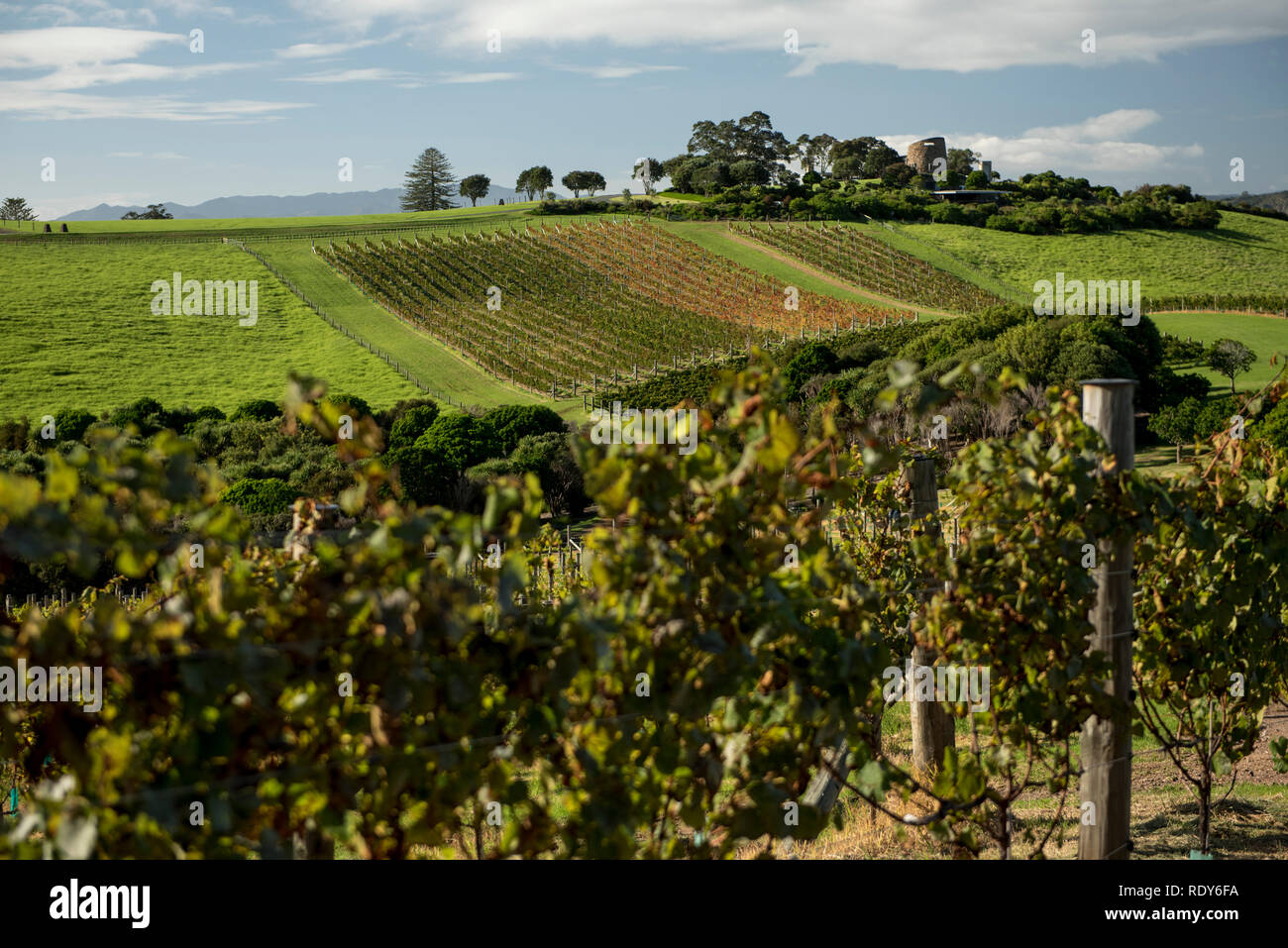 Views of the vineyards at the Landing. The Landing is a luxury private ...