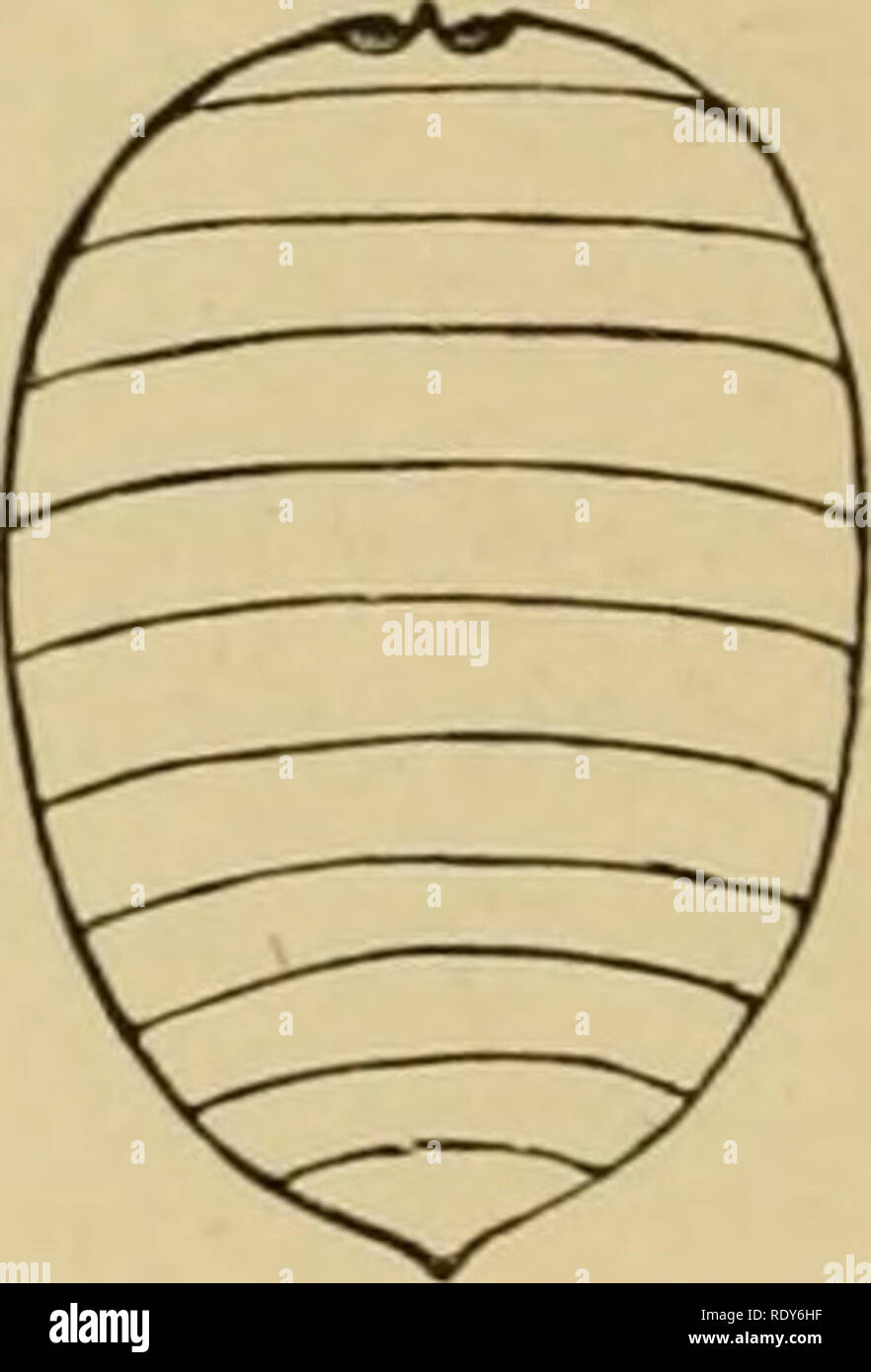 . Economic entomology for the farmer and the fruit grower, and for use ...