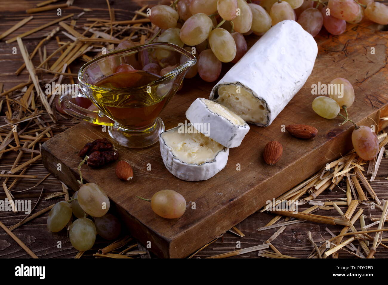 Honey fungus white mold hi-res stock photography and images - Alamy