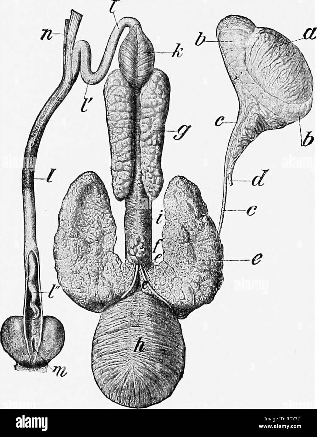 About 2 5 5 mm wide Black and White Stock Photos & Images - Alamy