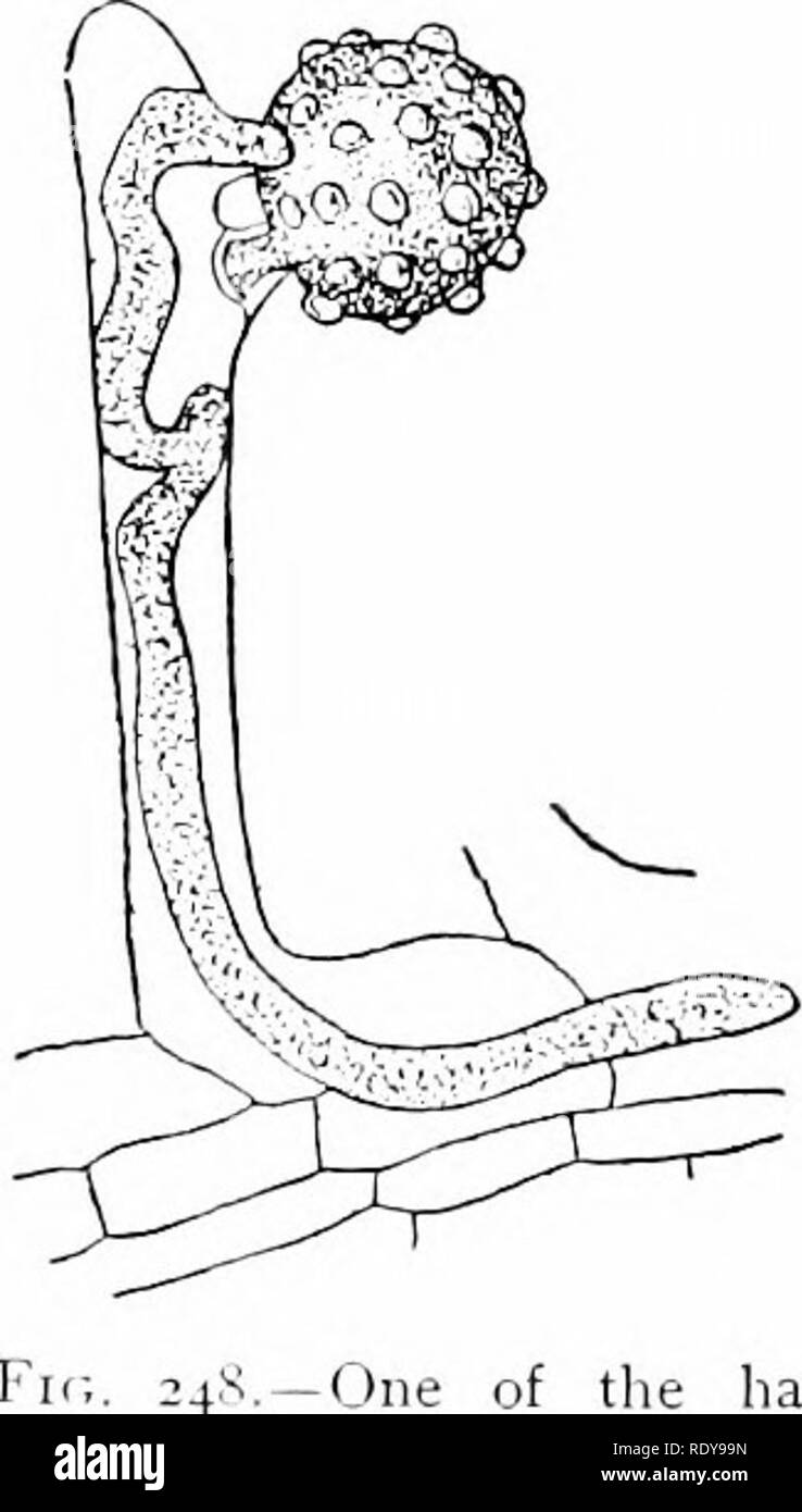 Vari able Black and White Stock Photos & Images - Alamy