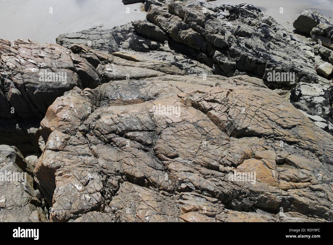 Arthur pieman hi-res stock photography and images - Alamy