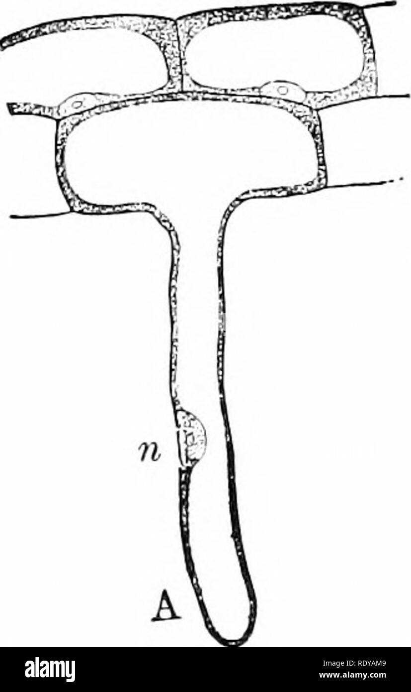 Three Man Formation Diagram