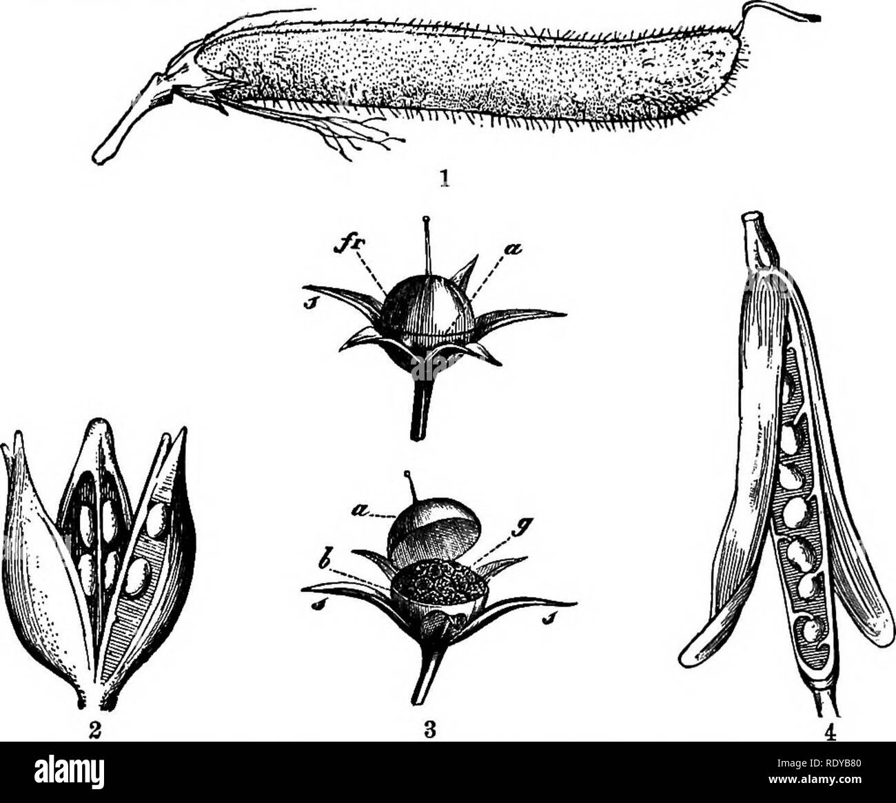 Partitions Cut Out Stock Images & Pictures - Alamy