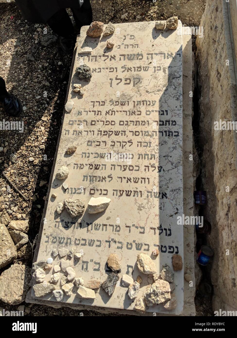 Aryeh hi-res stock photography and images - Alamy