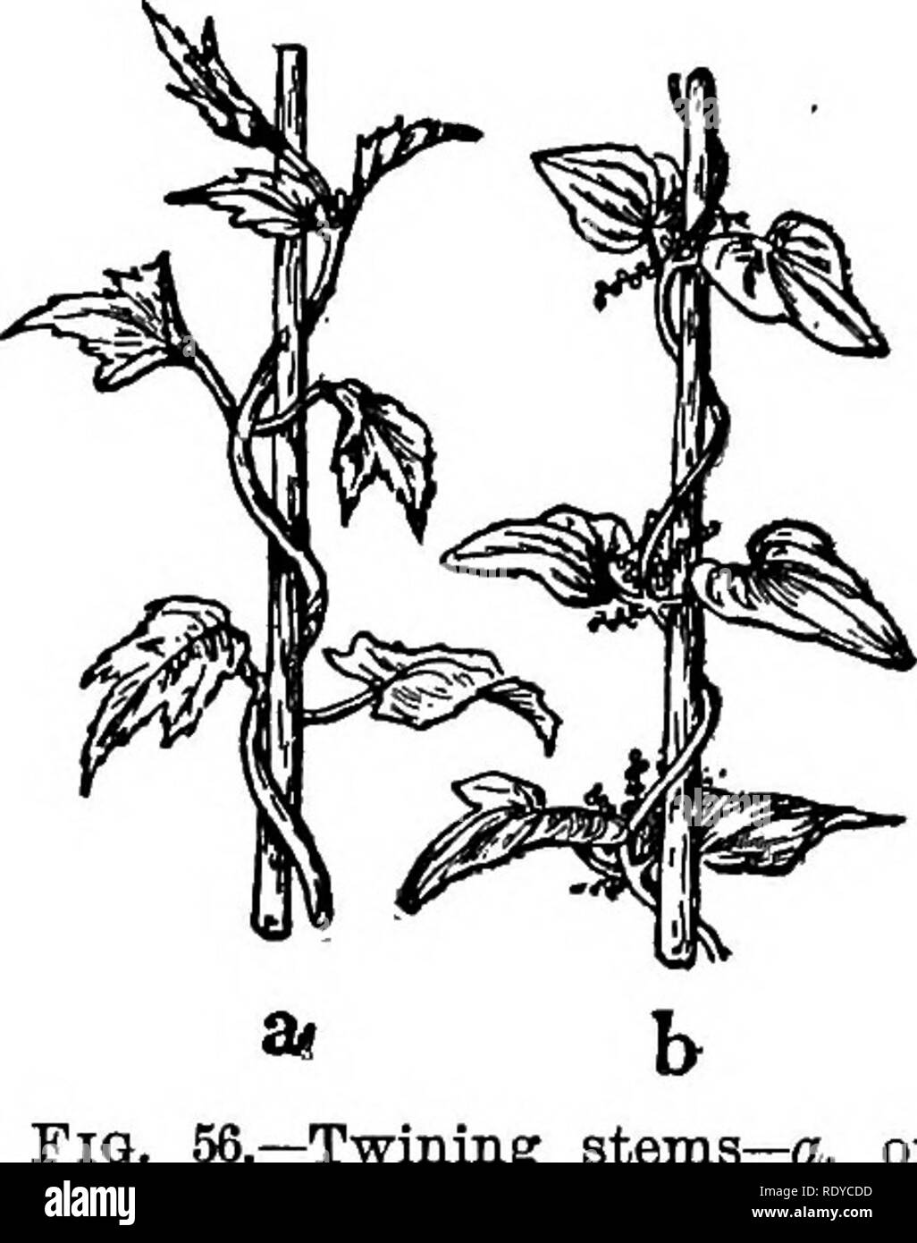 Nutation movements hi-res stock photography and images - Alamy