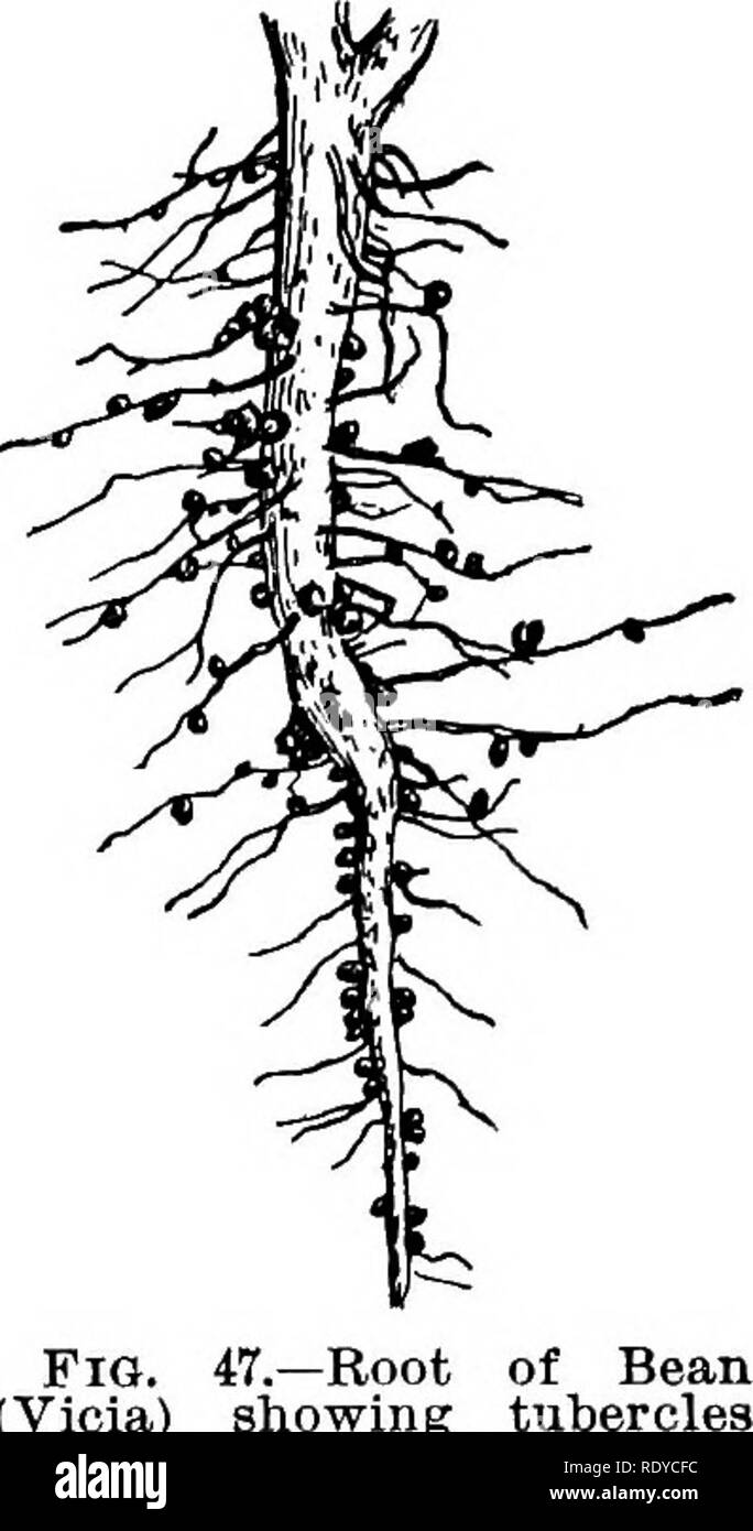 Cell 138 Black and White Stock Photos & Images - Alamy