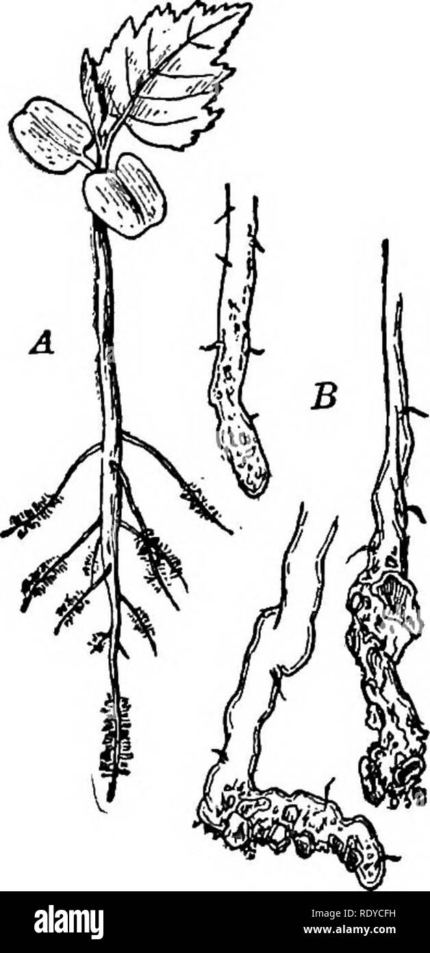 Selective absorption Black and White Stock Photos & Images - Alamy