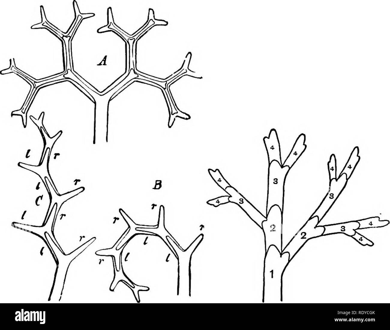 Dichotomy Black and White Stock Photos & Images - Alamy