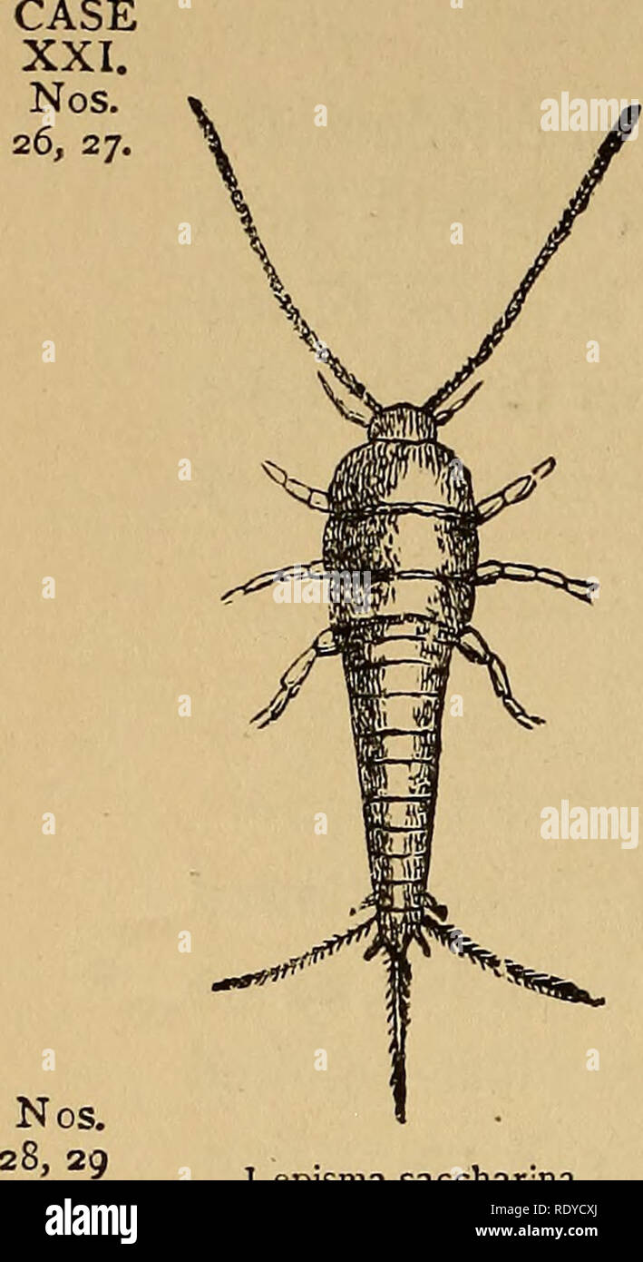 Body movement historical anatomy hi-res stock photography and images ...