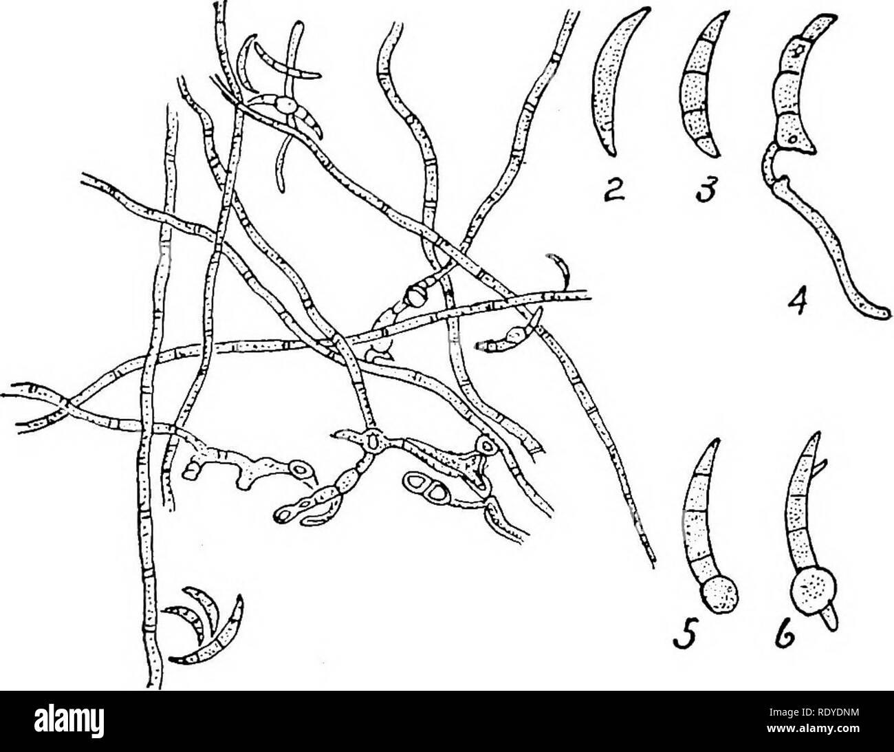 Manual feed Cut Out Stock Images & Pictures - Alamy