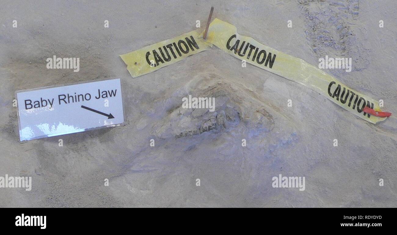 Ashfall fossil beds hi-res stock photography and images - Alamy