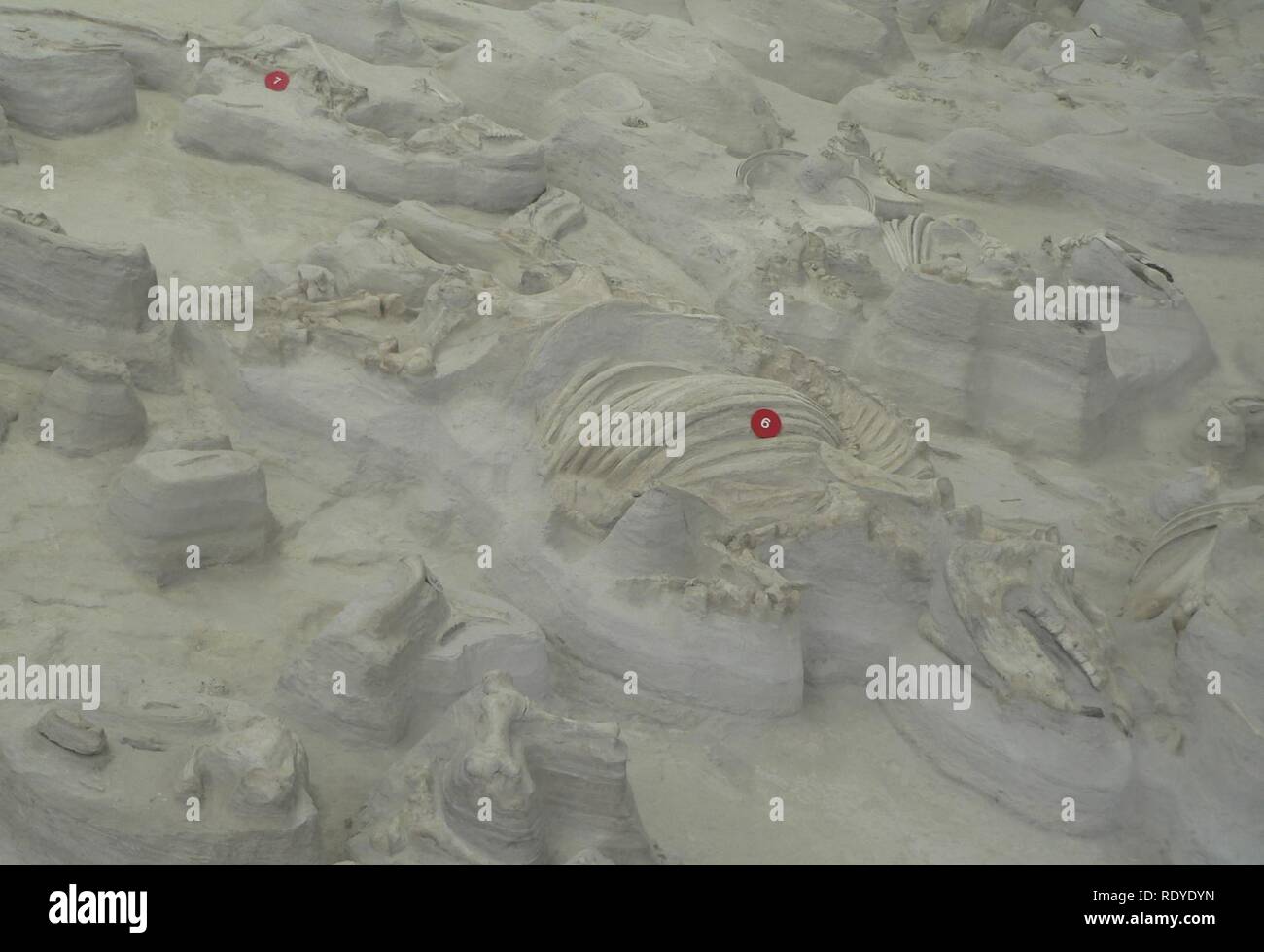 Ashfall Fossil Beds High Resolution Stock Photography and Images - Alamy