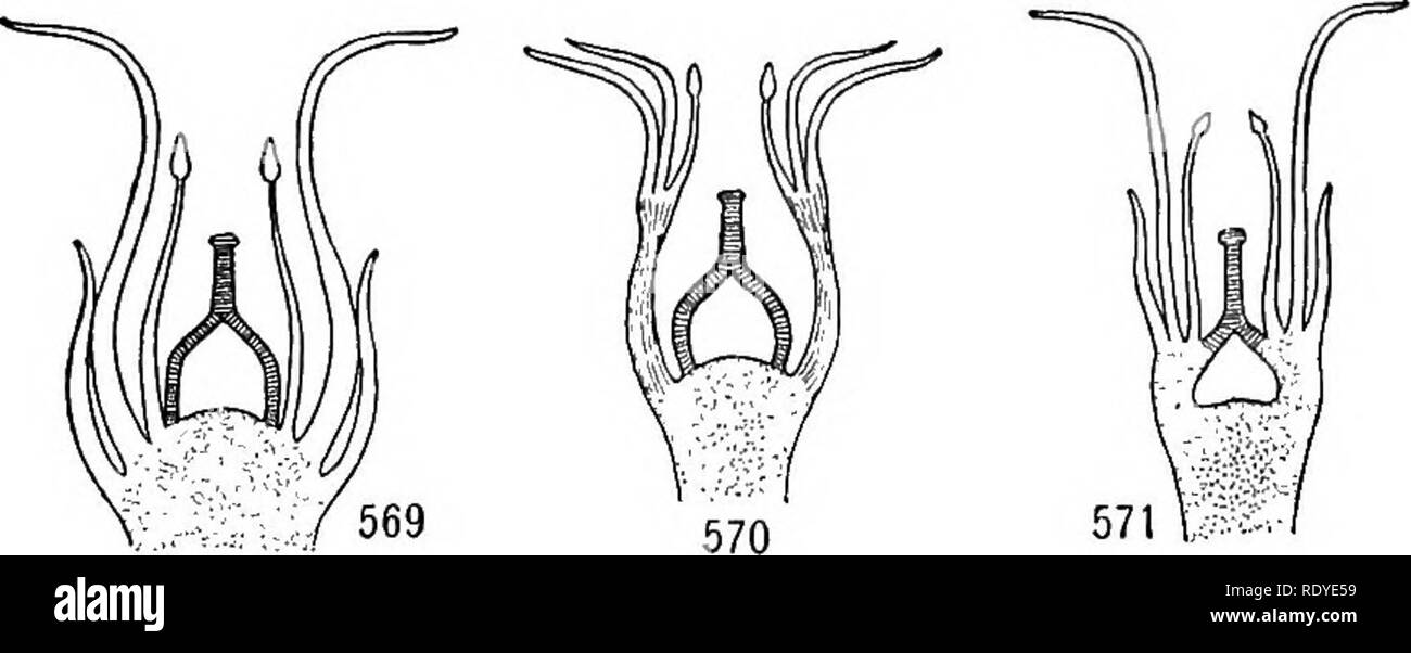 Technical universities Black and White Stock Photos & Images - Alamy