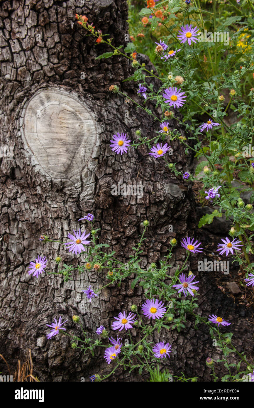 Black range hi-res stock photography and images - Alamy