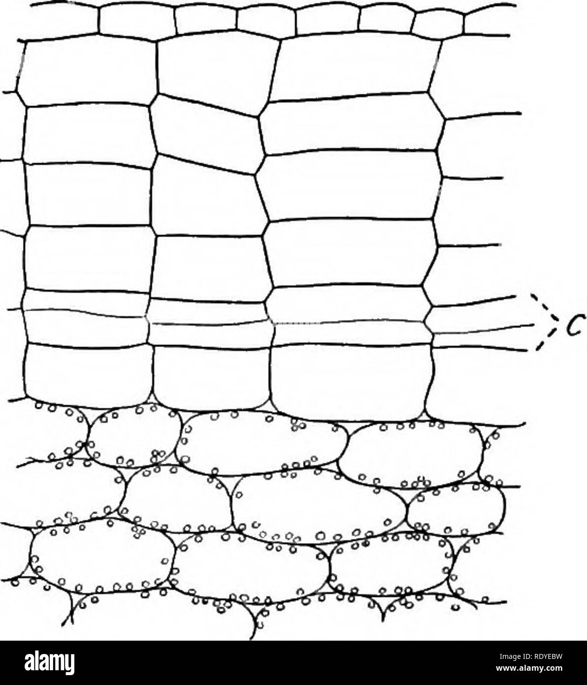 Impervious walls hi-res stock photography and images - Alamy