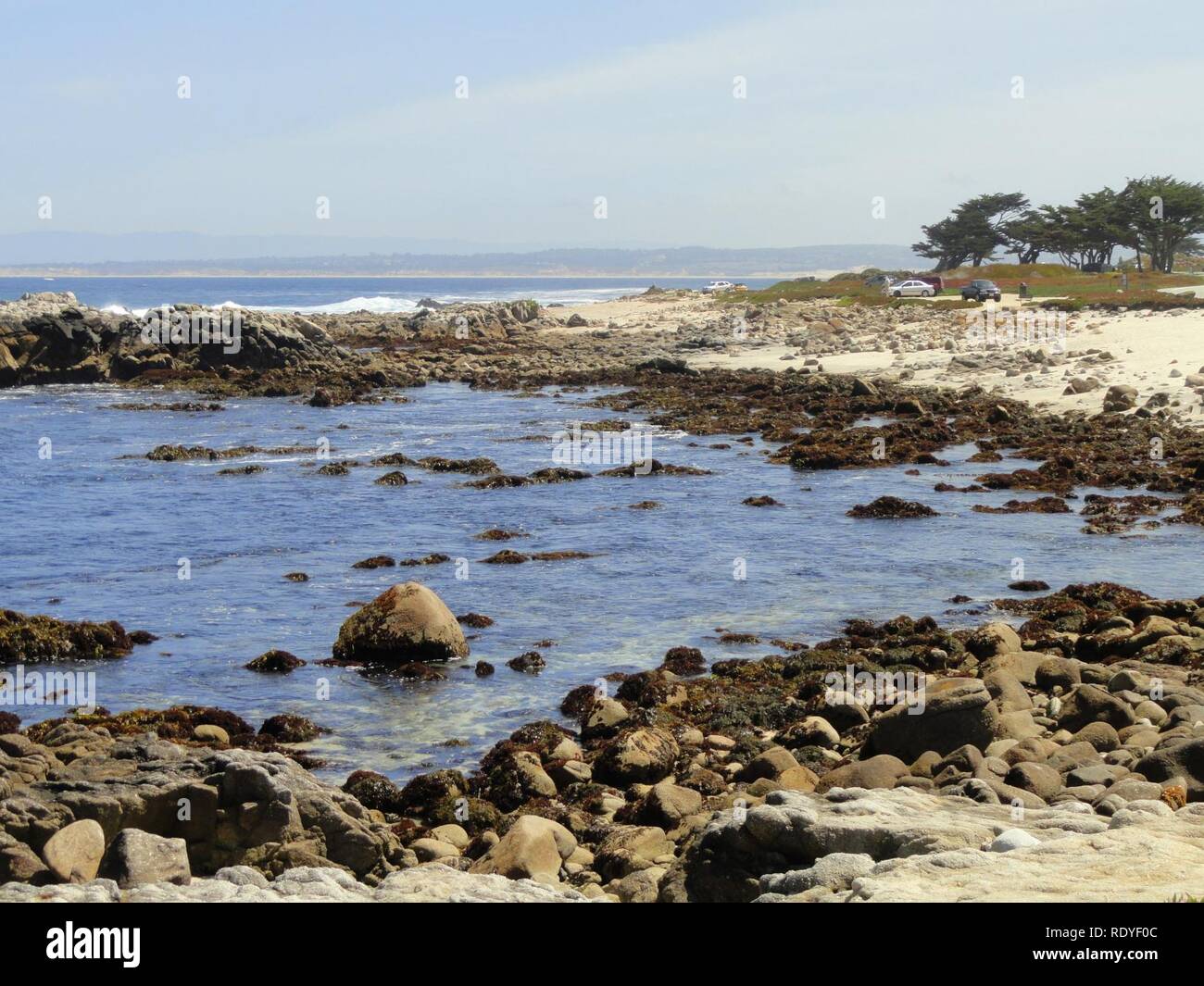 Asilomar State Beach Stock Photo - Alamy