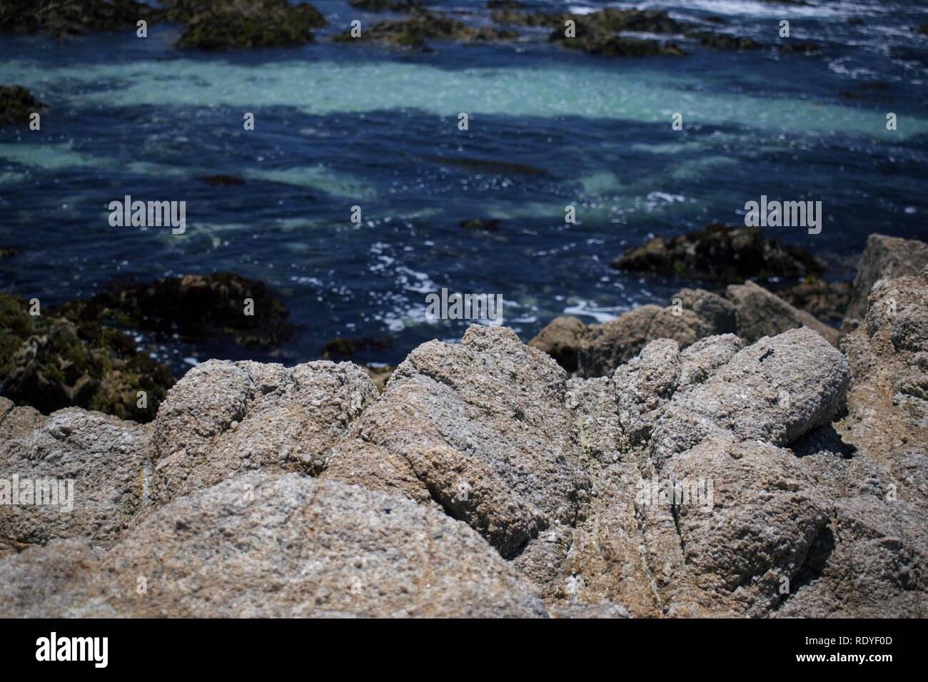 Asilomar state beach hi-res stock photography and images - Alamy