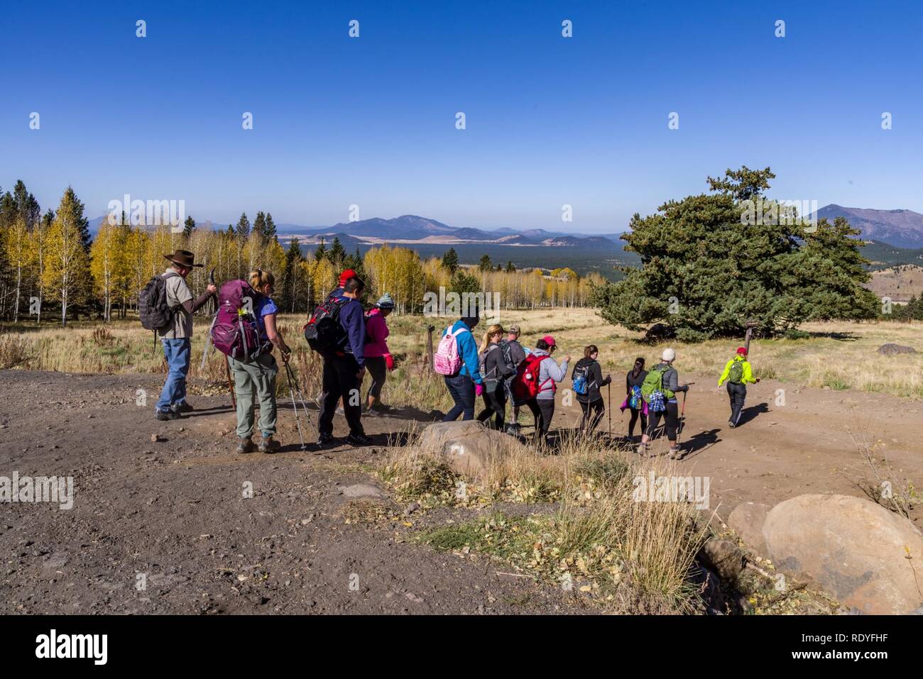 Flagstaff ranger district hi-res stock photography and images - Alamy