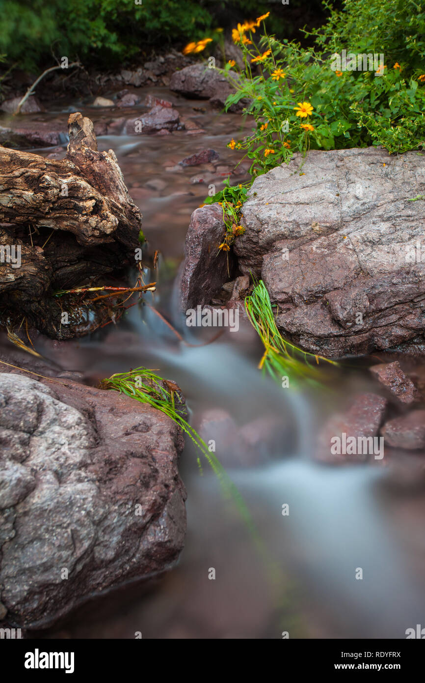 Water flows out of Soledad Canyon, forming an oasis in the desert ...