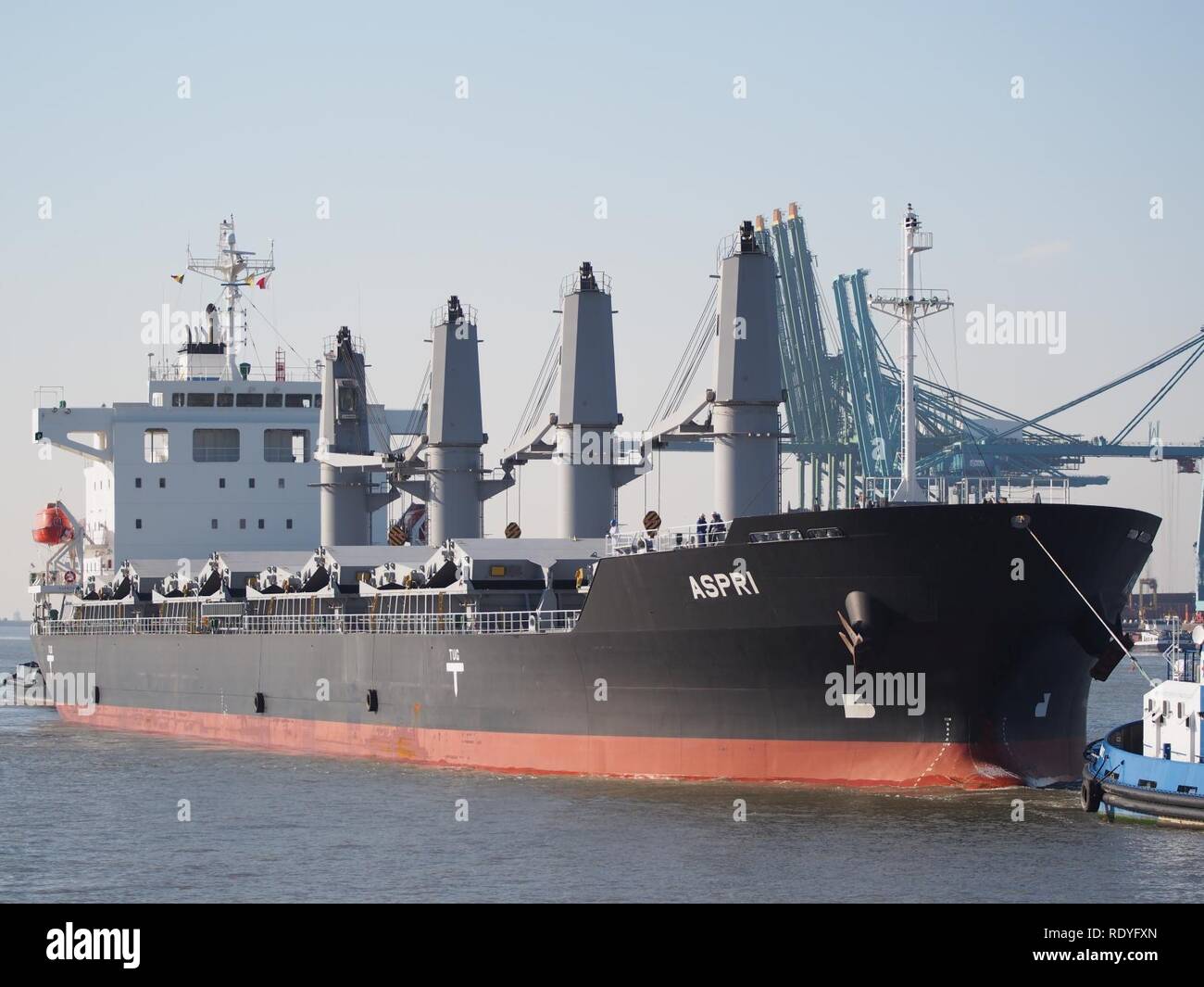 Aspri (ship, 2014) IMO 9658771, Port of Antwerp pic2 Stock Photo - Alamy
