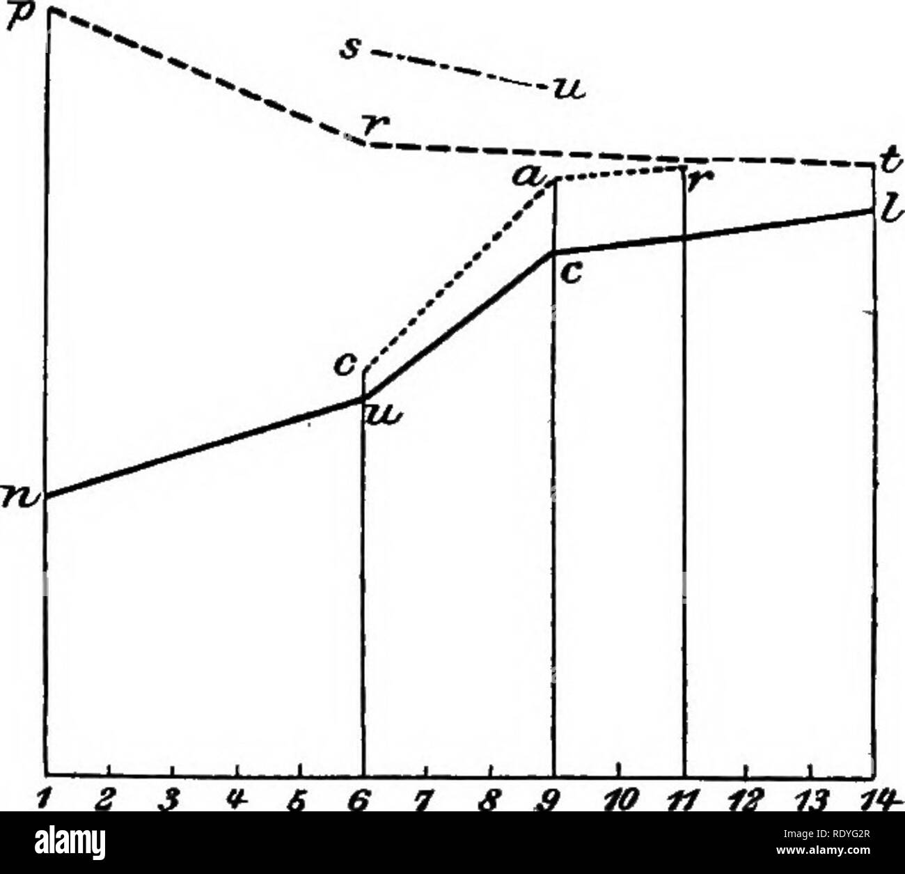 Etiolated Plant High Resolution Stock Photography and Images - Alamy
