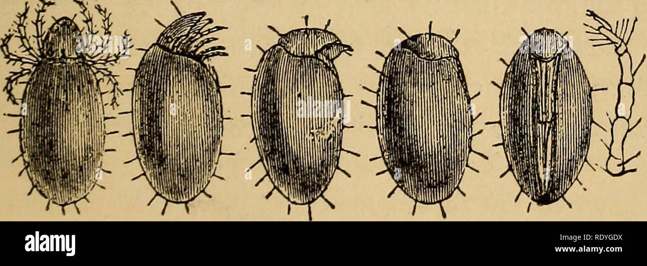 Milk like appearance hi-res stock photography and images - Alamy