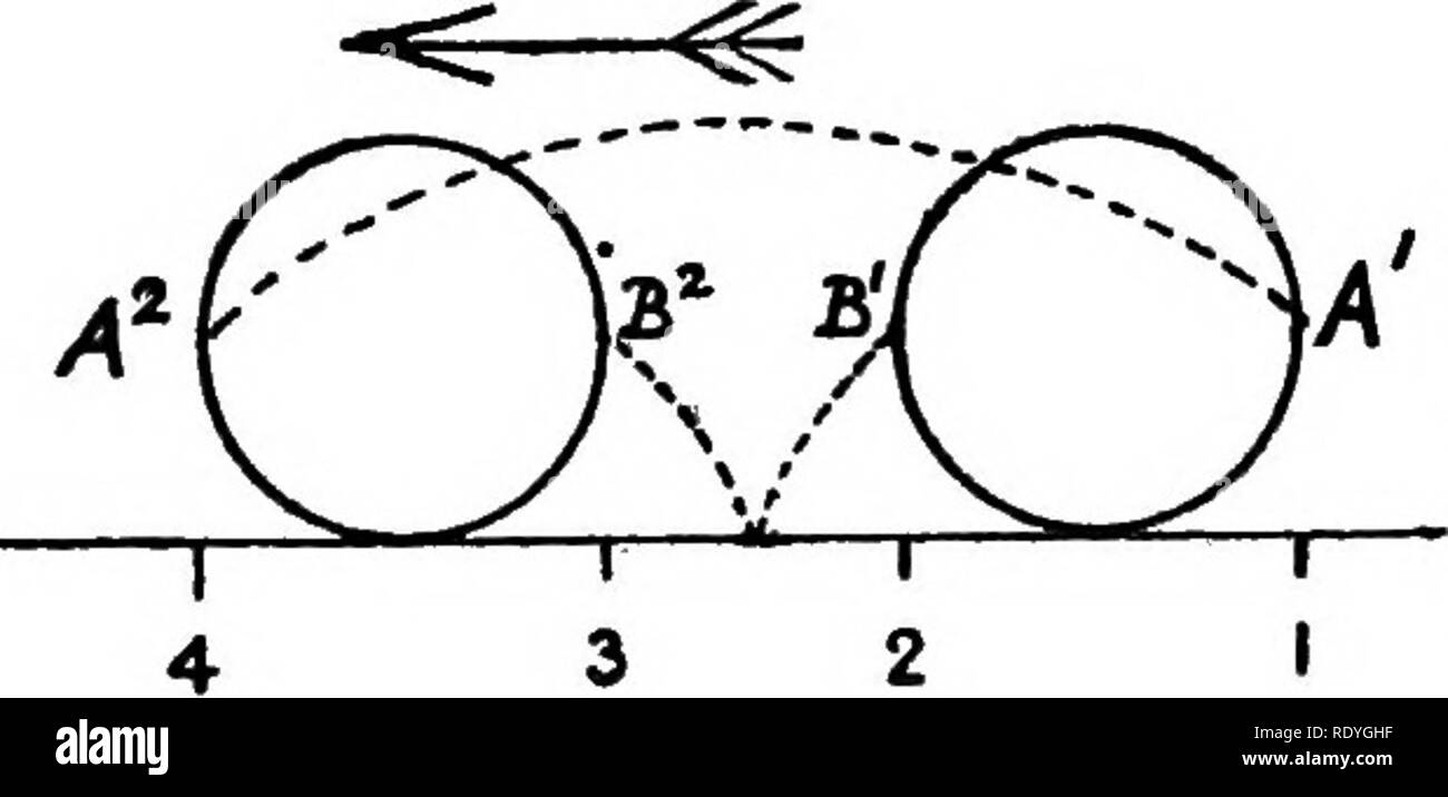 . Horses and movement, from paintings and drawings by. Horses; Animals ...