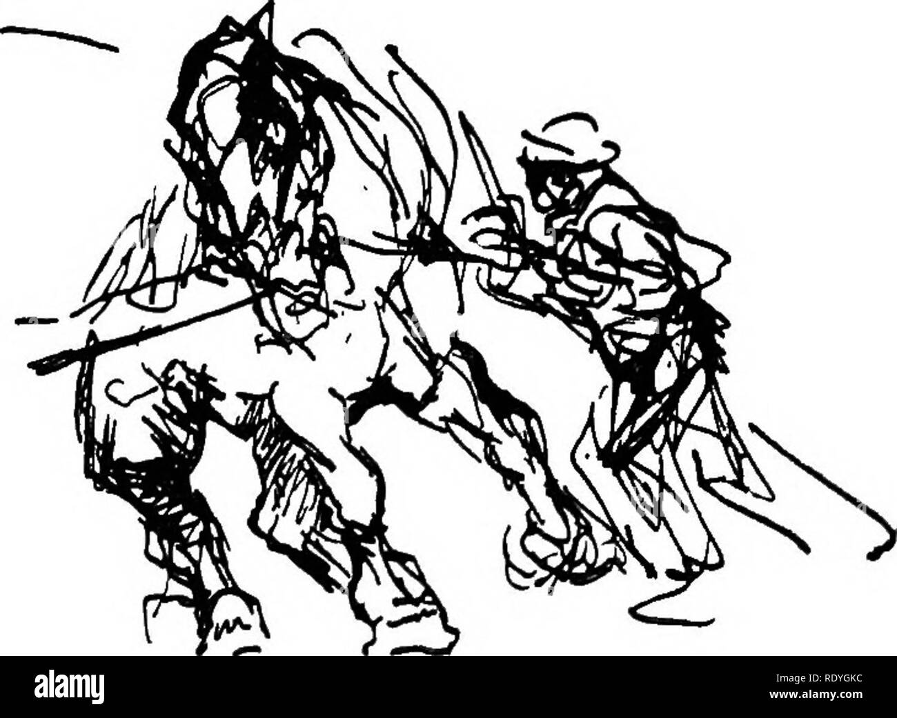 . Horses and movement, from paintings and drawings by. Horses; Animals ...